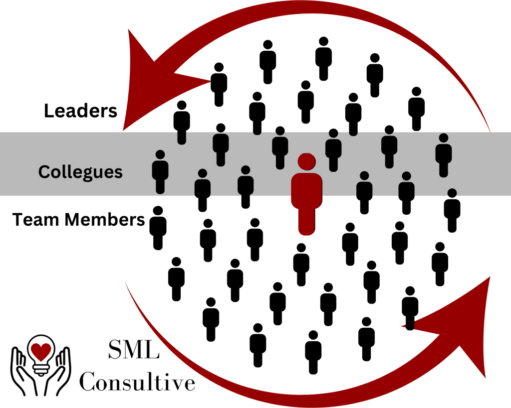 360° Assessment - SML Consultive